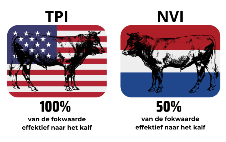 Wat is Dutch Proof - ST Genetics Holland B.V.