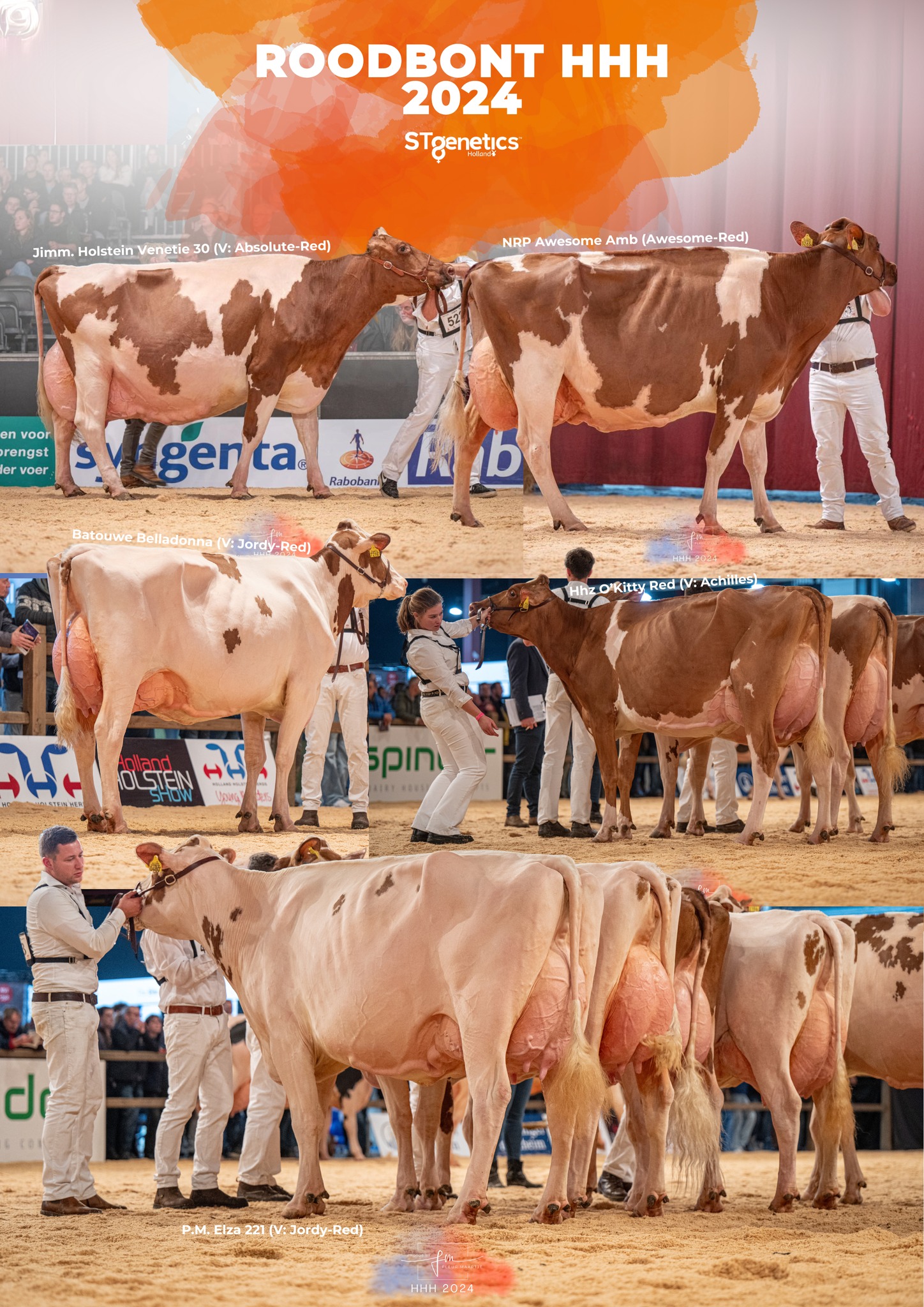 Holland Holstein sHow (HHH) 2024 - ST Genetics Holland B.V.